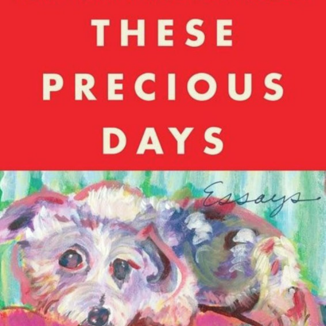 Feb. 2 Women's Book Group Discussion of "These Precious Days," by Ann ...